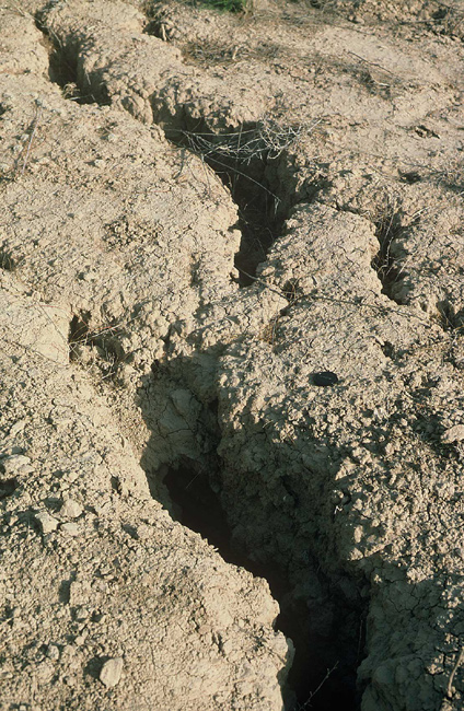 Rumah Geologi: CALICHE, Suatu terminologi dalam batuan karbonat