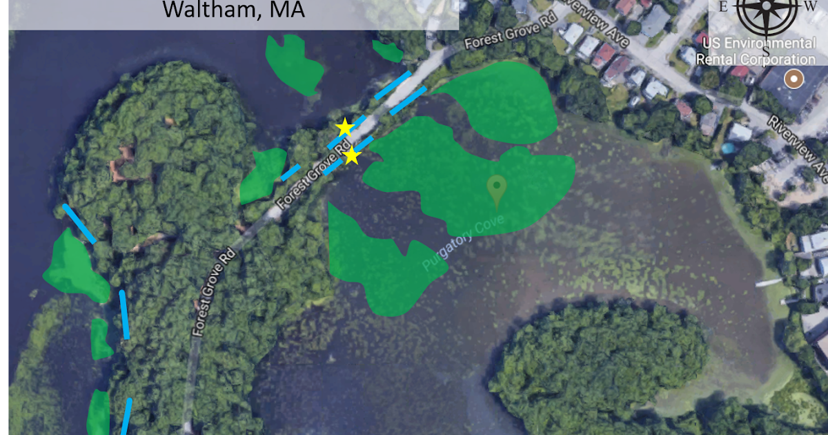 Massachusetts Bass Fishing Spots: Purgatory Cove/Charles River, Waltham, MA
