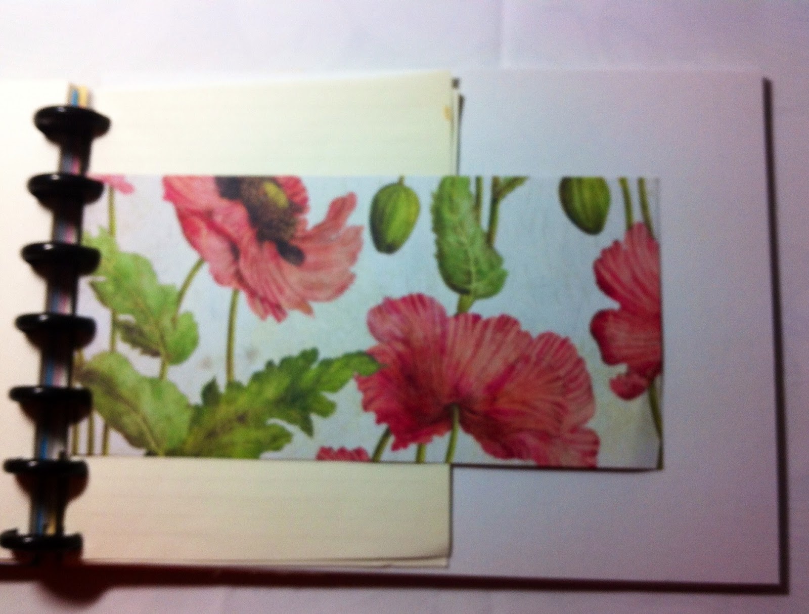 JUST CRAZY ABOUT DOGS: Arc Custom notebook system