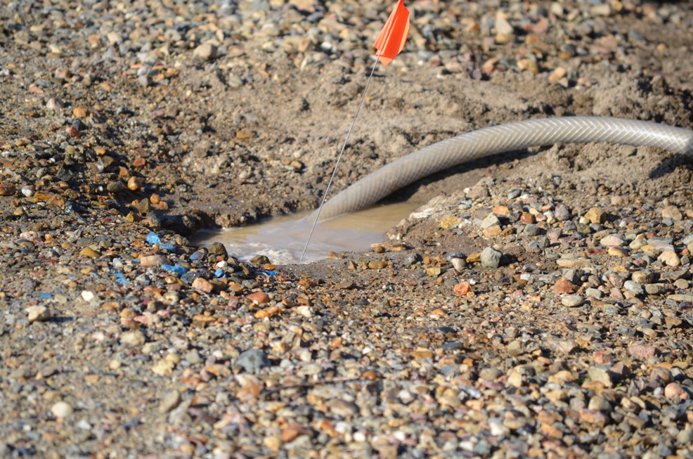 Mendocino Chronicles: Burrow Blocker at Work