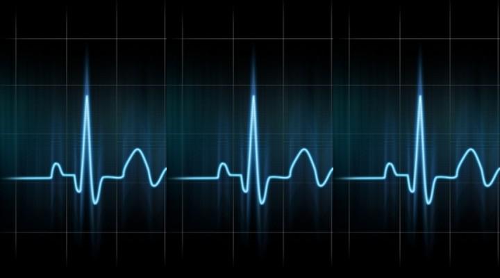 ENGLISH LITERATURE PARISHKAR COLLEGE: The Voice of the pulsation