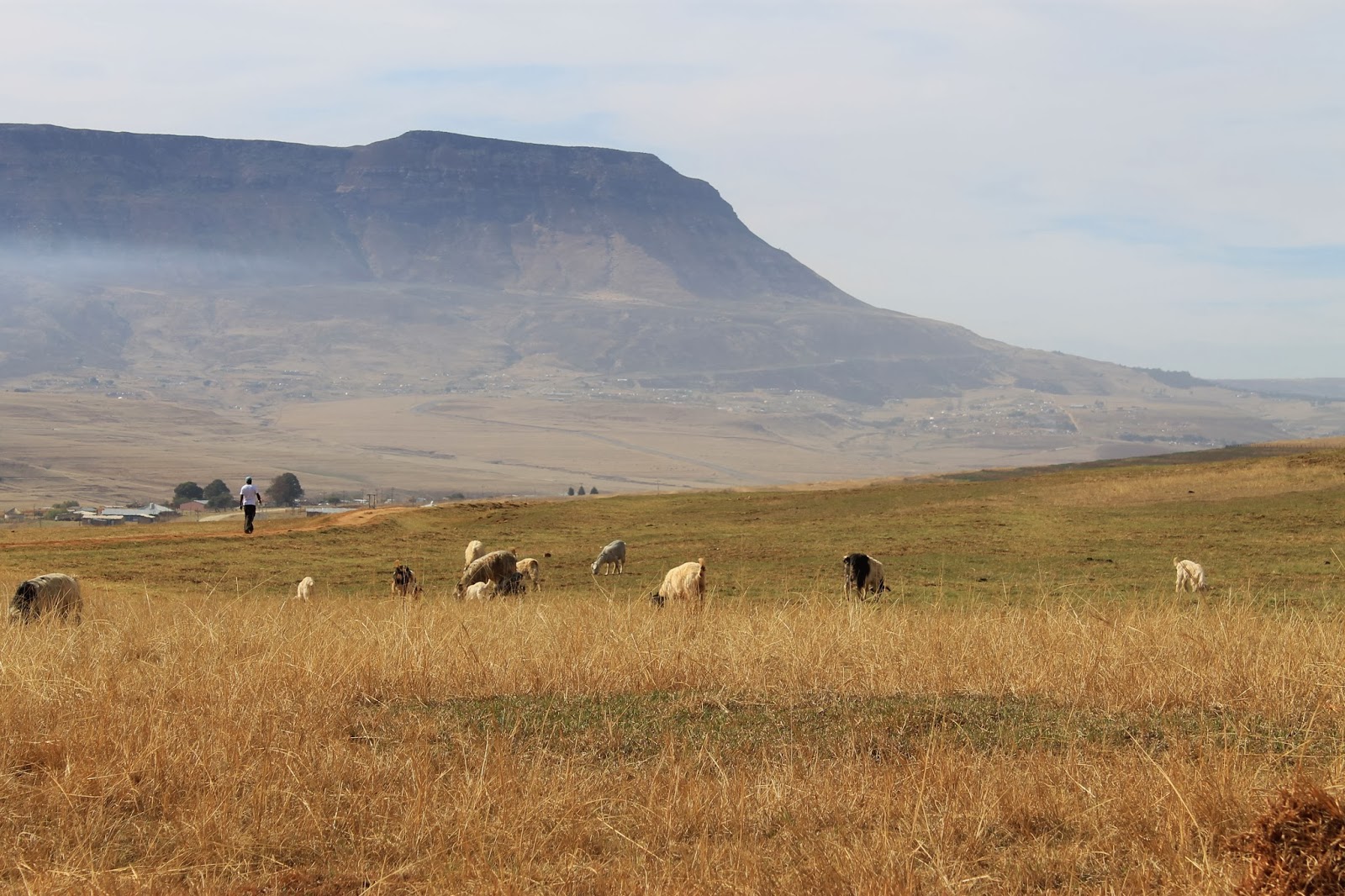 My Journey: Healthcare & International Travel: Impendle: Description ...