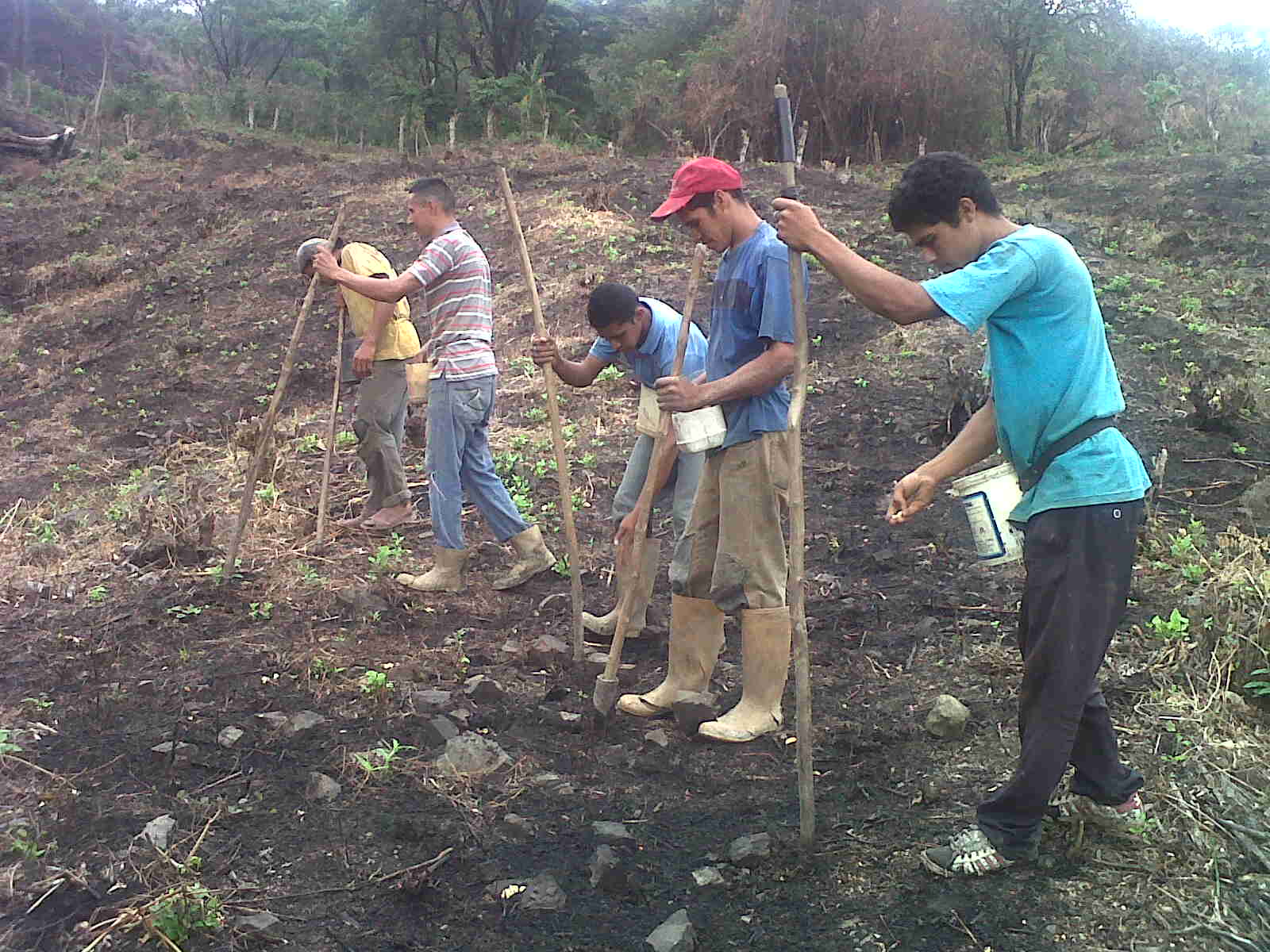 VISIÓN AGROECOLÓGICA: Apuntes sobre el conuco, a propósito de la patria ...