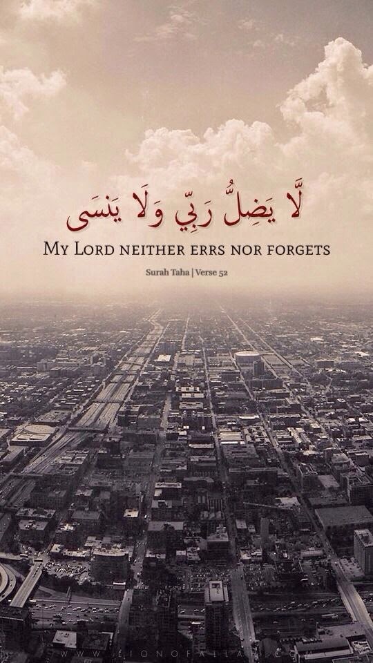 13 Lovely Verses of Holy Quran - Articles about Islam