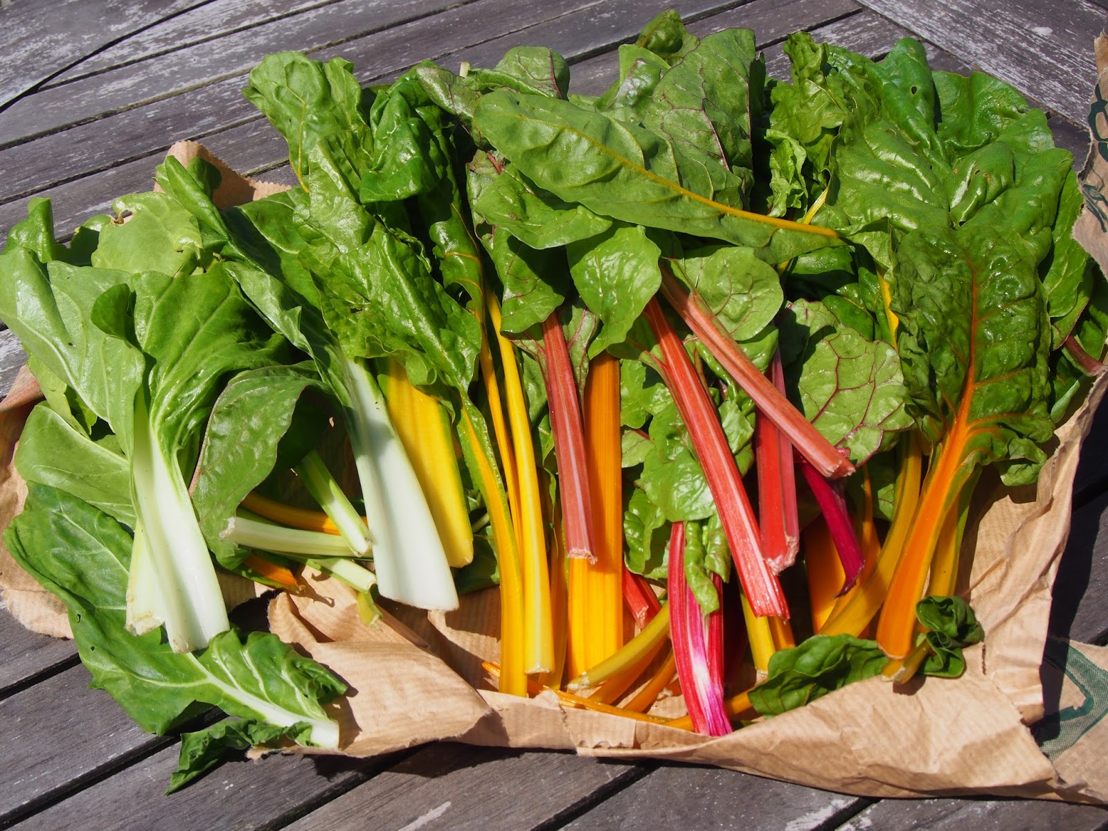 Blettes, sauce raisins-noisettes | Paroles de diet