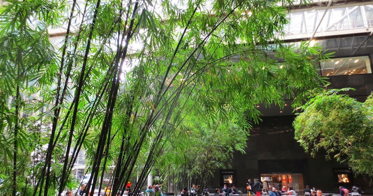 Big Apple Secrets: Bamboo indoors oasis in the centre of the city