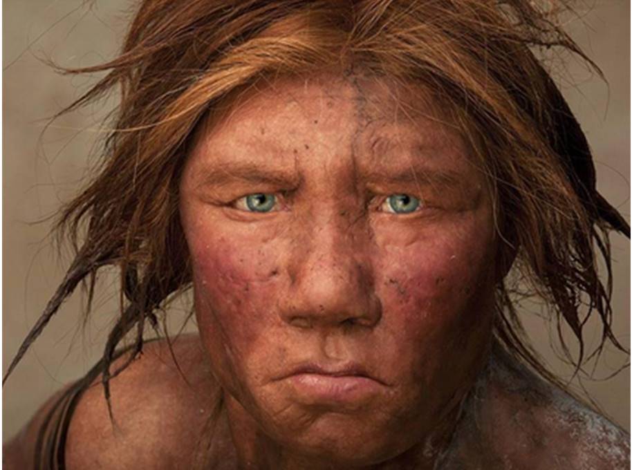 Cuéntame de Ciencia: ¿Hablaban los neandertales?