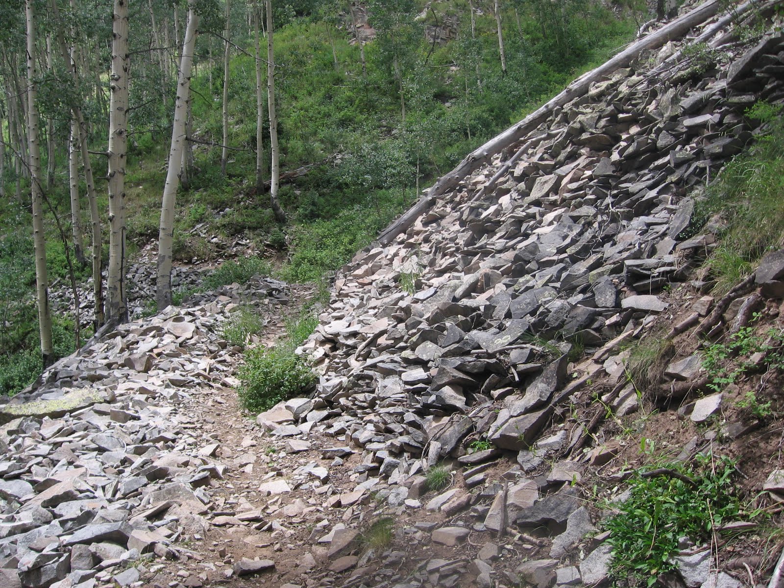 Four Corners Hikes-Dolores River Valley Colorado: Gold Run Trail-Bear Creek