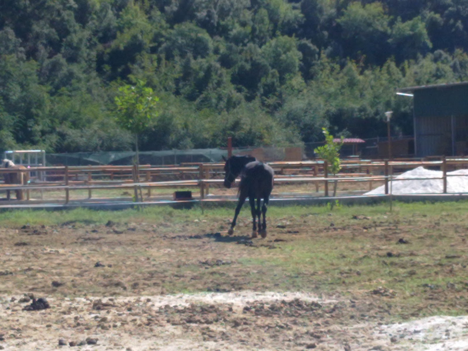 Η ΦΑΡΜΑ ΤΩΝ ΖΩΩΝ - FARM AND FARM ANIMALS - Tapandaola111