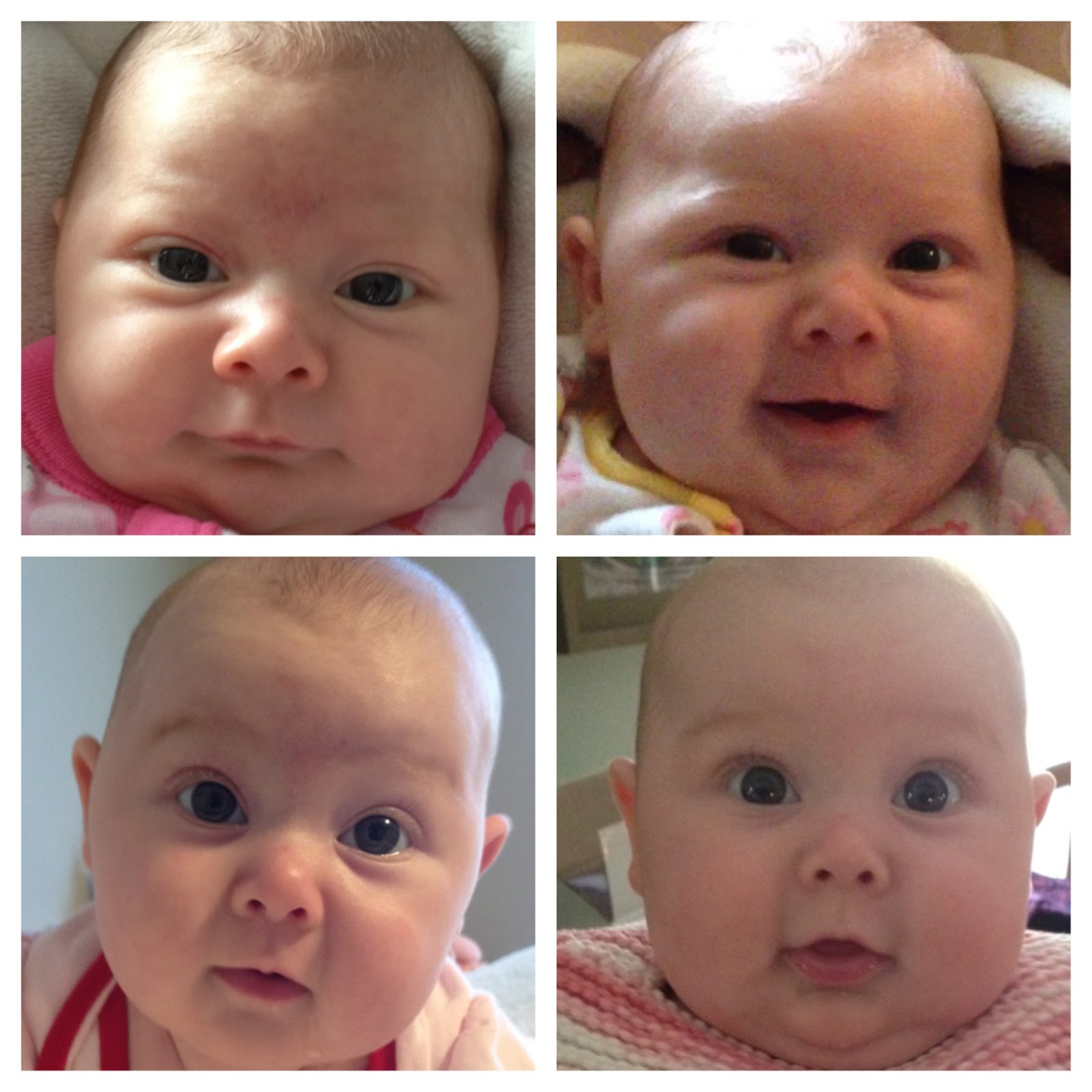 Our Perfectly Simple Life