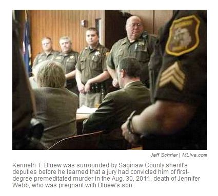 OIDV Project Of Michigan - Officer Involved Domestic Violence Project ...