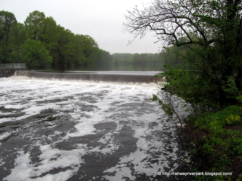 4 seasons in the life of Rahway River Park: April 2012