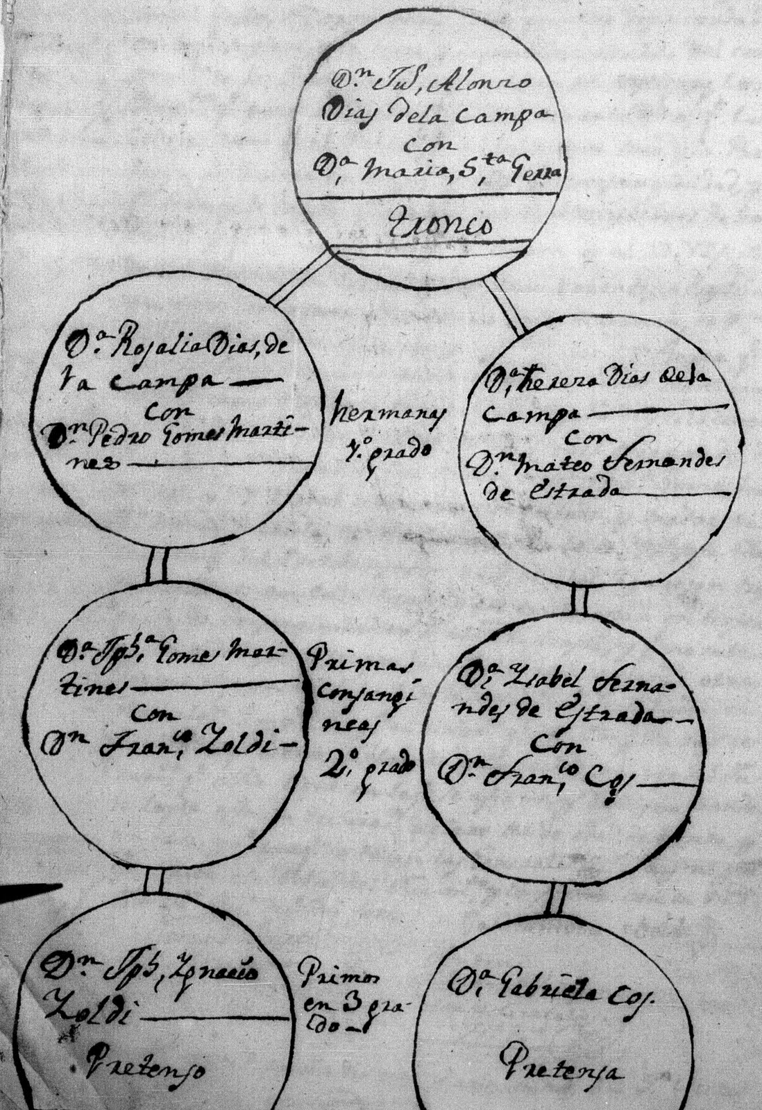Guadalajara Marriage Dispensations - Mexico Genealogy: Family Tree Art