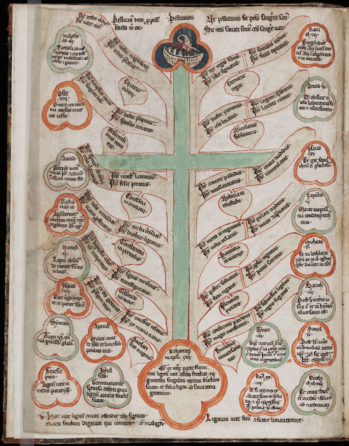 Pepper Key Stacie: Field Guide Fridays - Lignum Vitae