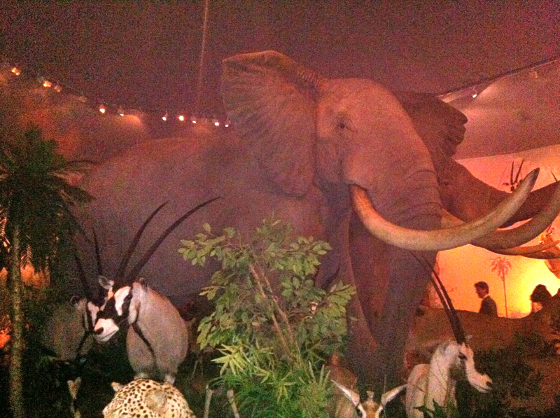 Hunting and It's Effect on the Environment: The Perspective of a Big ...