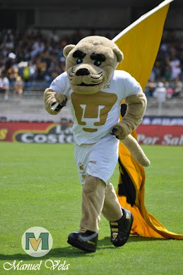 ANOTANDO FÚTBOL *: PUMAS DE LA UNAM * PARTE 1