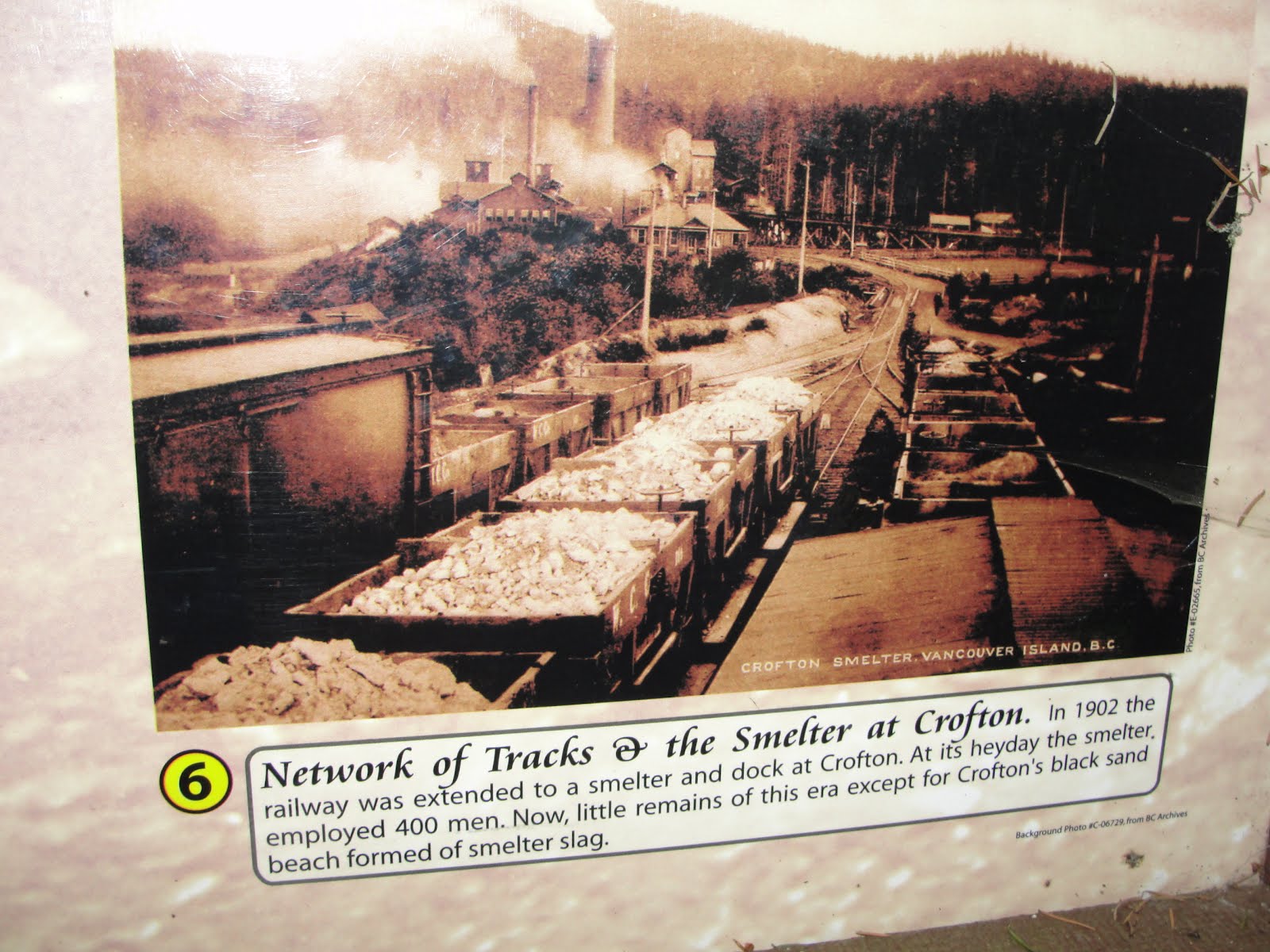 My life with the critters: Eves Park