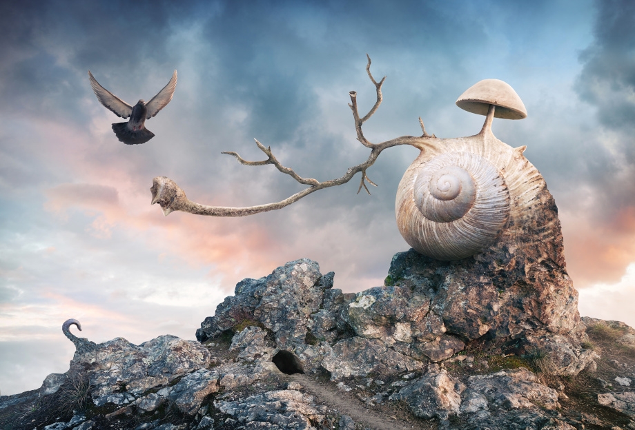 Design Stack: A Blog about Art, Design and Architecture: Photo ...