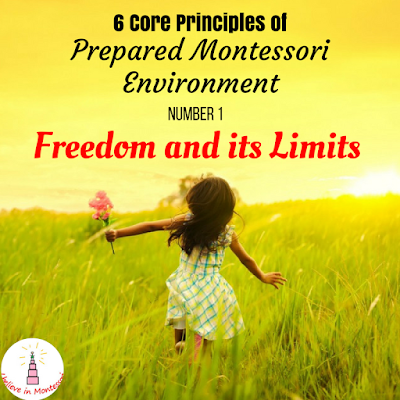 6 Core Principles of Prepared Montessori Environment. Number 1. Freedom ...
