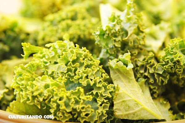 HoyVerde.com: 10 razones para decirle 'sí' a la col rizada