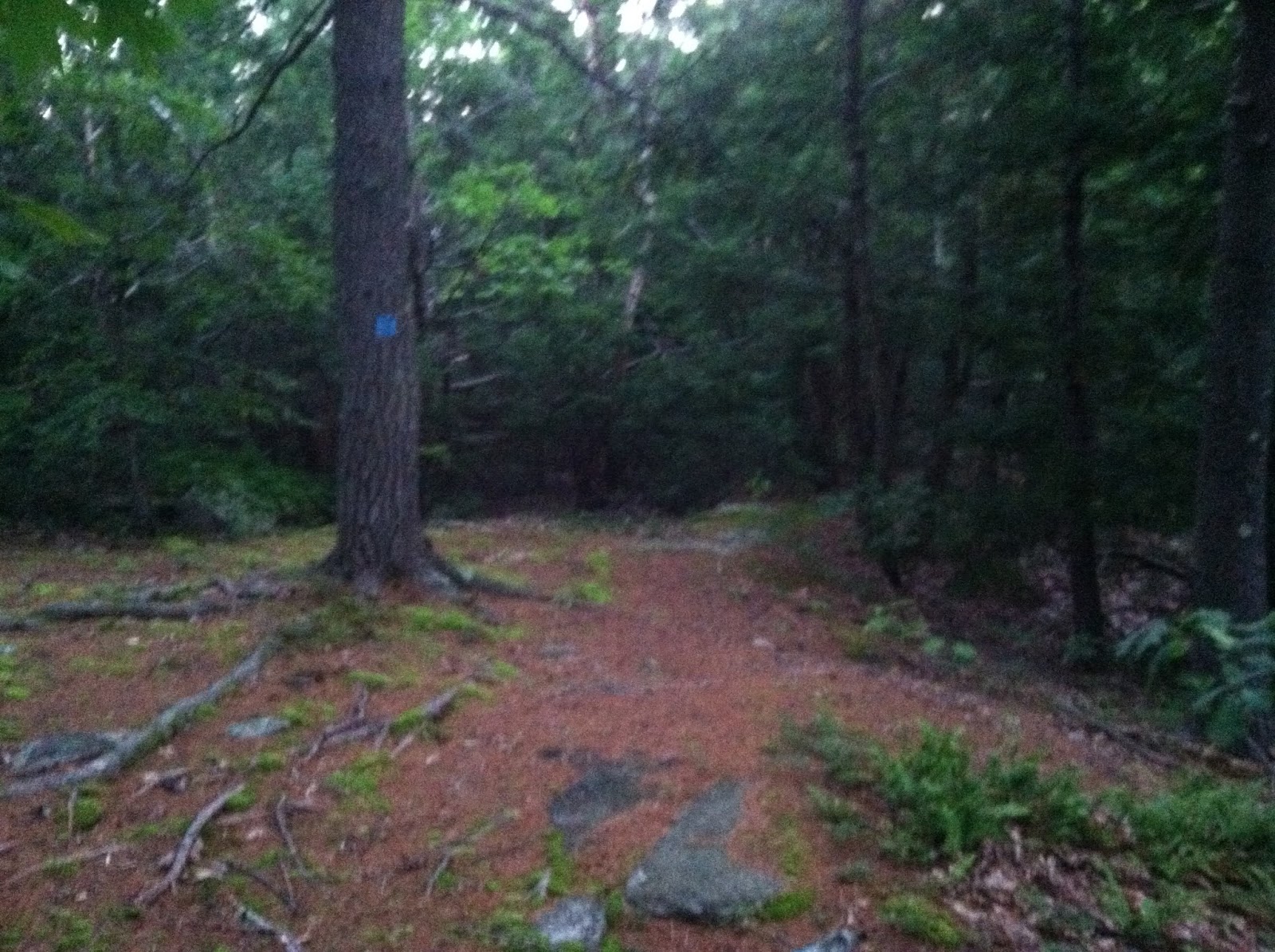 Early Morning Trails: Monoosnoc Trail End to End to End/Traverse ...