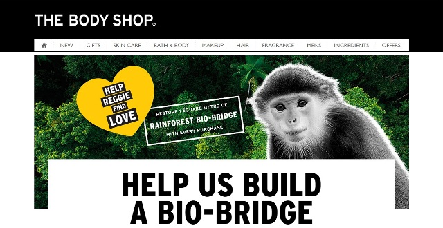 " WHAT IS A BIO-BRIDGE?