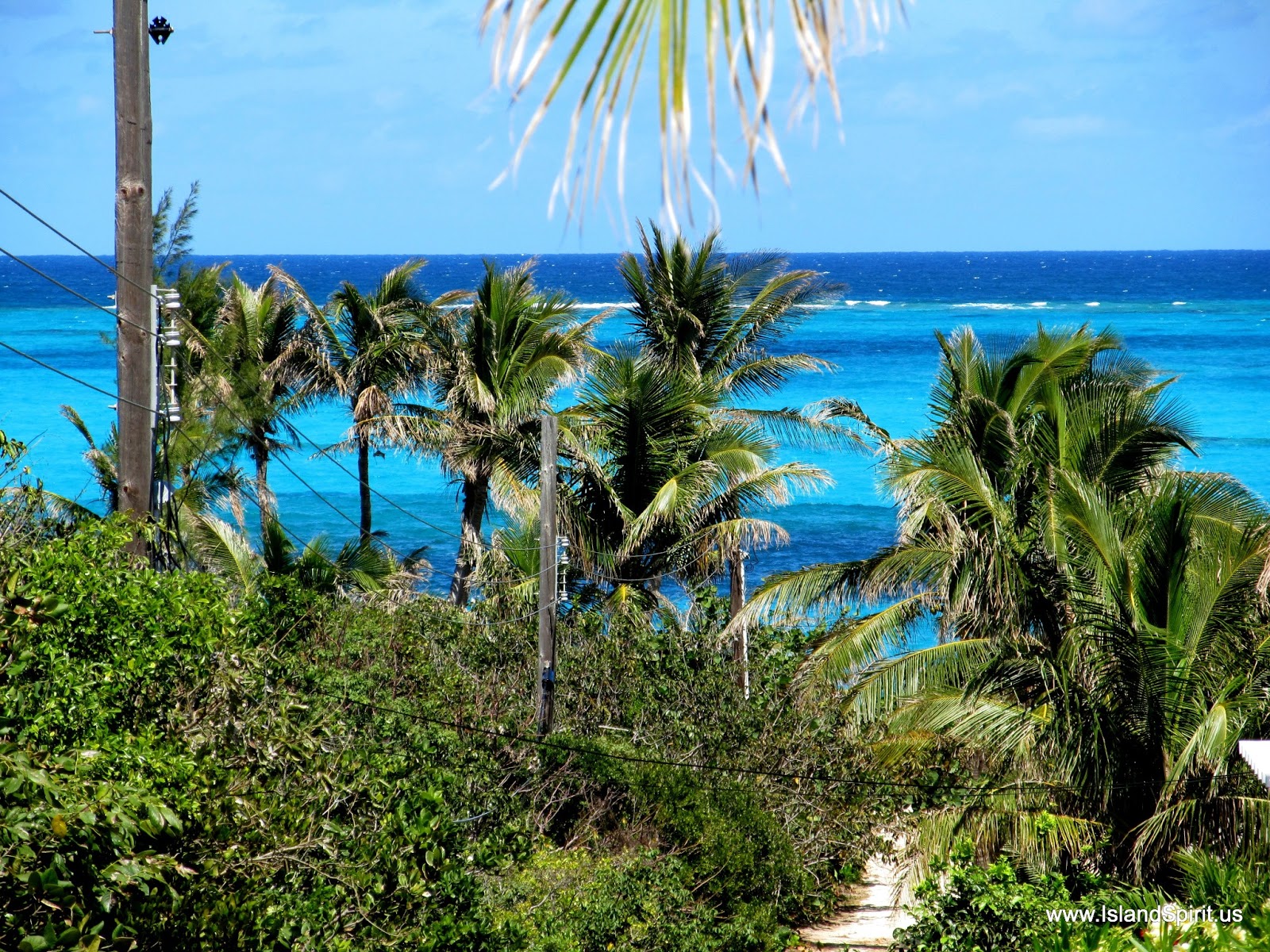 Jib Room and Beyond - svIslandSpirit.com