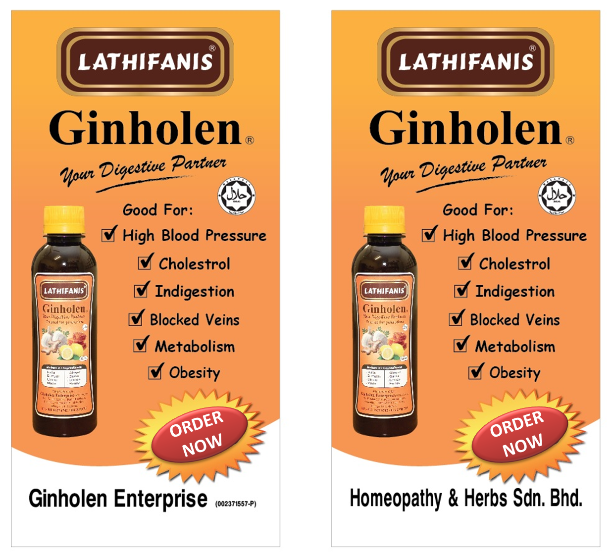 Ginholen: GINHOLEN - GINGER , GARLIC , LEMON , ACV , PURE HONEY