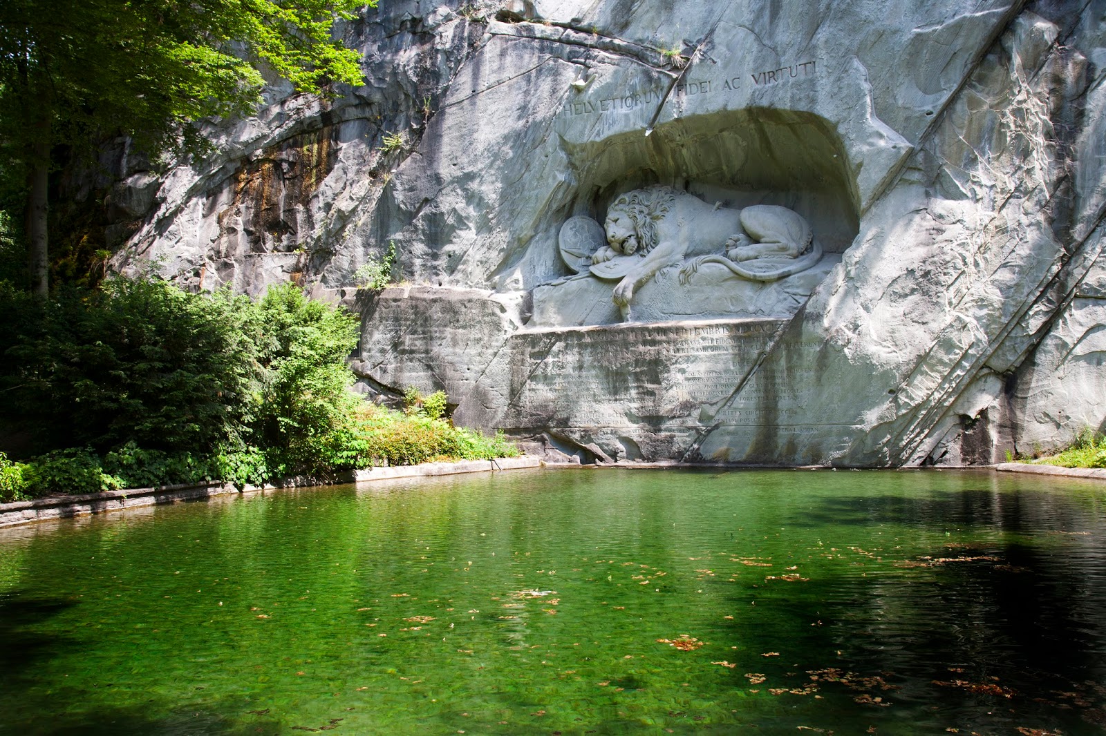 xakelaphoto: Luzerna