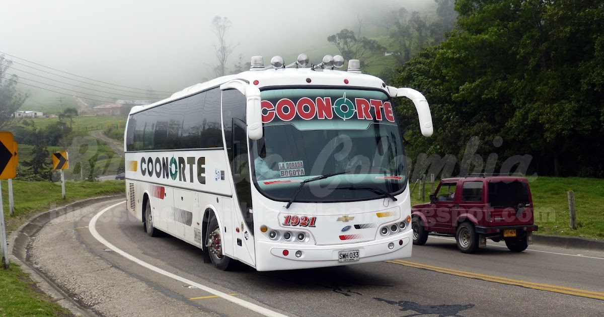 Buses de Colombia - Oficial