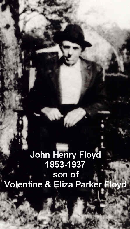 I Dig My Roots and Branches: Amy Susan Floyd Loftis