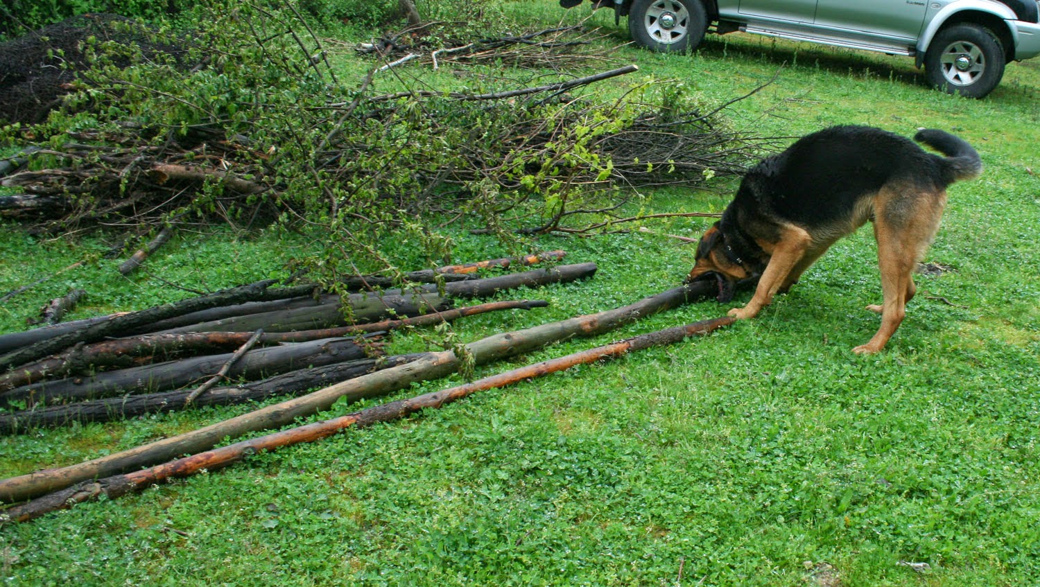 Old School In Bulgaria: A very well timed rest day
