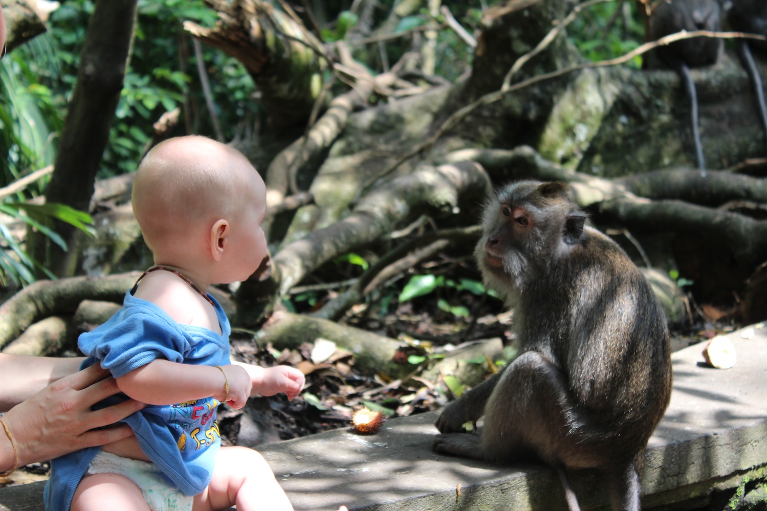 AVELINE VISITE LE MONDE: Bali et la forêt des singes!