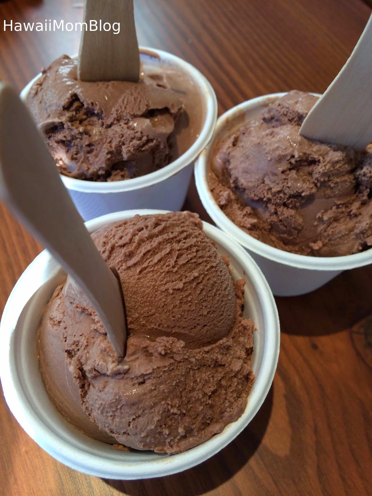 Hawaii Mom Blog: Visit Vancouver: Rain or Shine Ice Cream