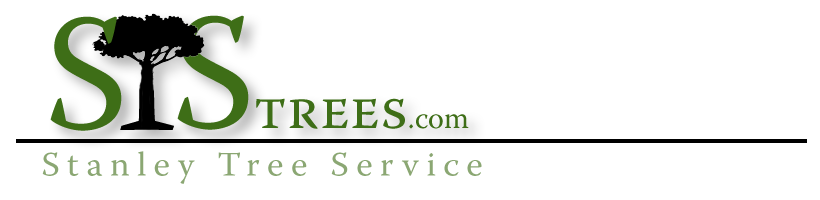 Stanley Tree Service