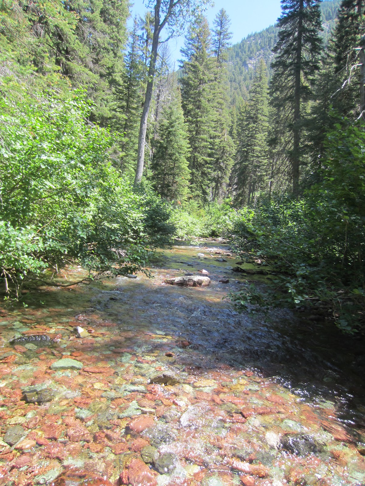 Between a Rock and a Soft Spot: Day 4, July 22: Lake Inez/Seeley Lake ...