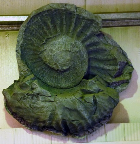 Robert S. Pohl ... : World's Largest Ammonite - Cast