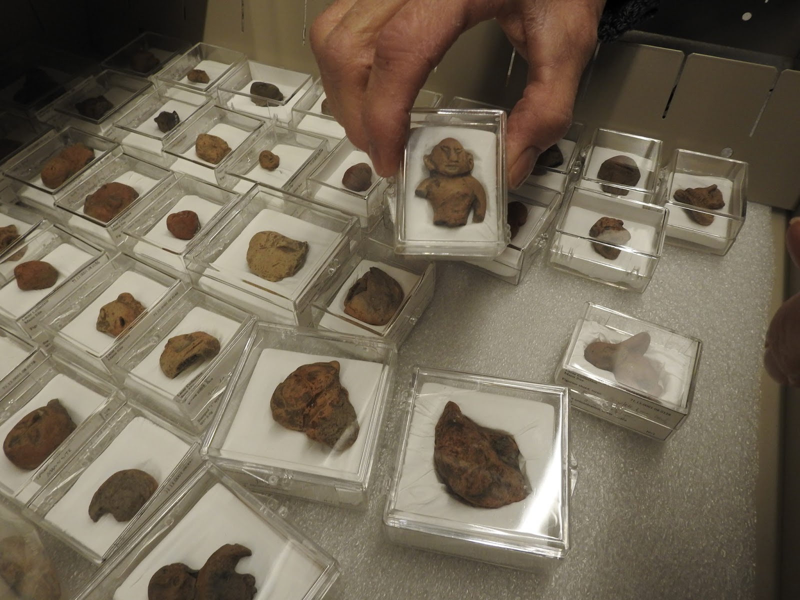 BONE ROOMS: January 2018