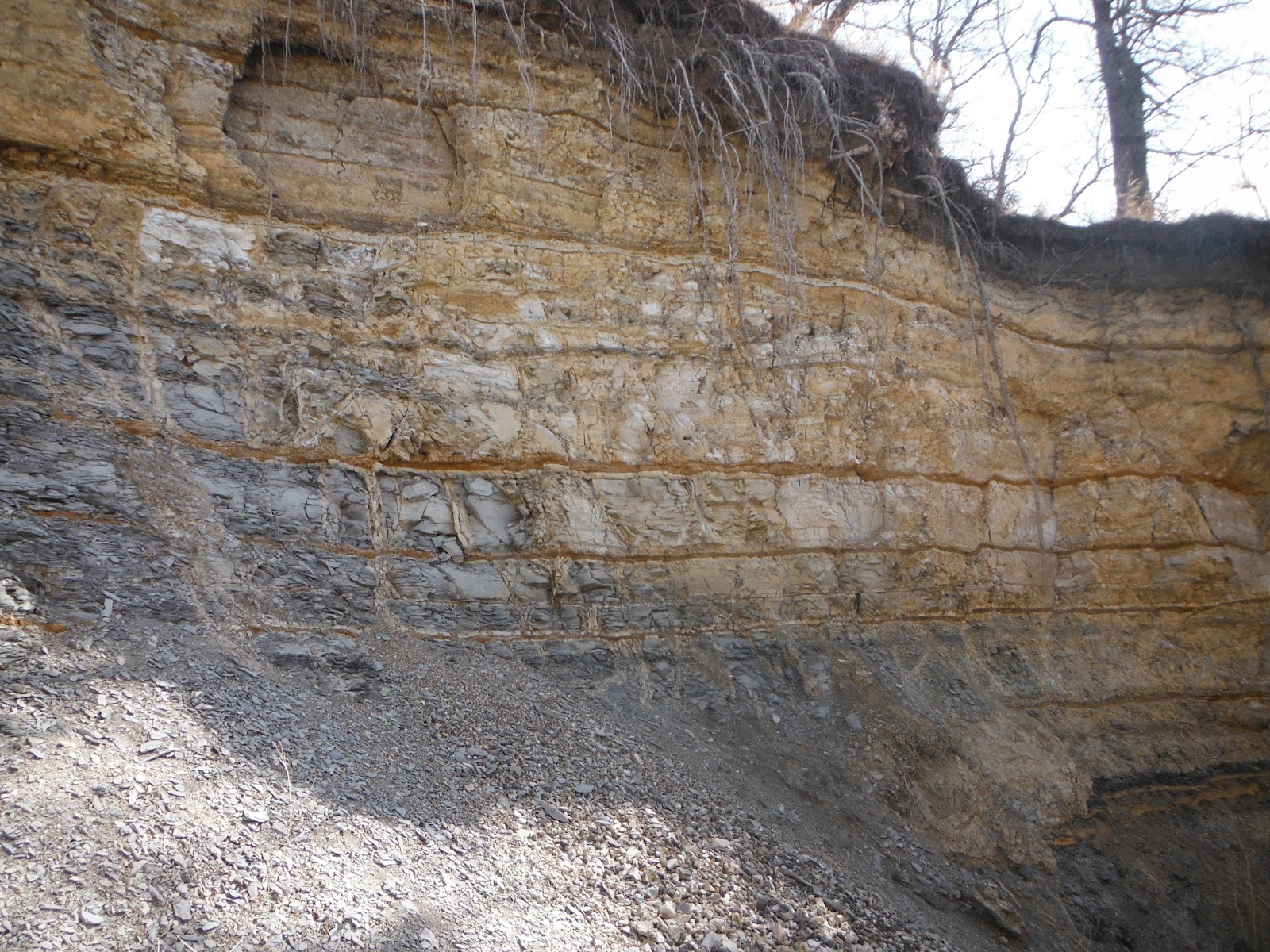 Manitoba Geology: The Manitoba Escarpment - vestiges of an ancient ocean