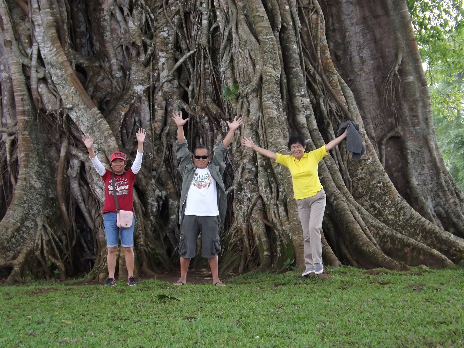 PHILIPPINES CENTURY TREE INHABITED BY THE SPIRITS?? COOL WATERS OF ...