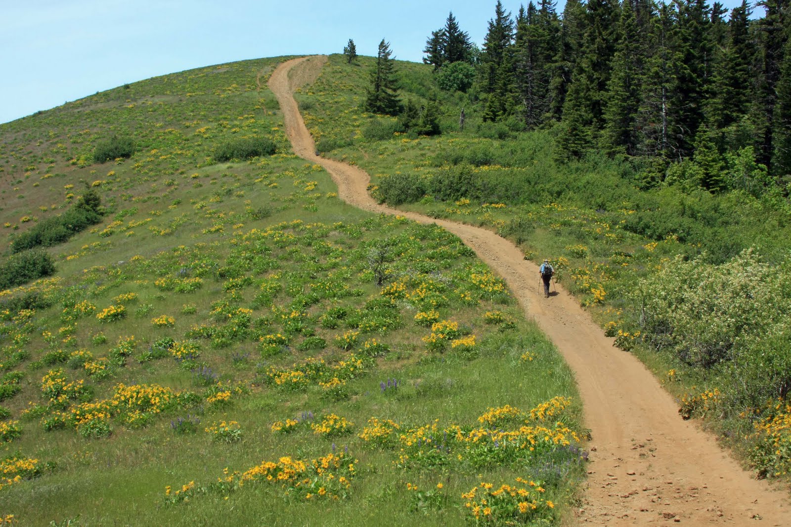 Linda's Lens: Bald Butte