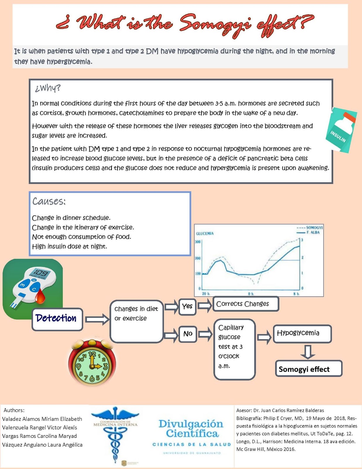 What is the Somogyi Effect? - DIVULGACIÓN CIENTÍFICA UG