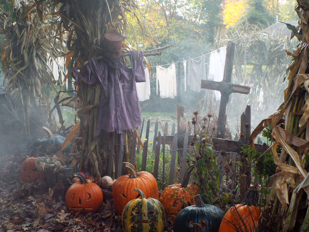 PUMPKINROT.COM: The Blog: Happy Halloween