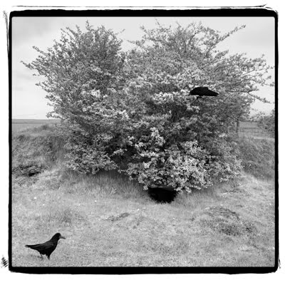 SilentOwl: Oweynagat The Cave of The Cats, Part Two.