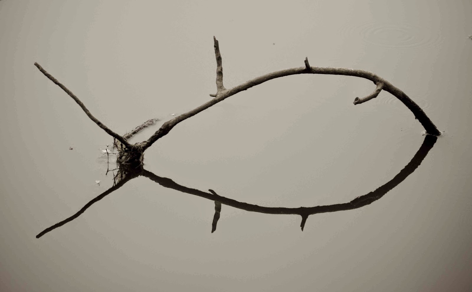 Savoring Servant: Stick fish