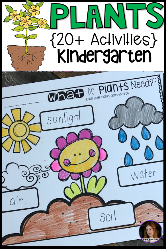 Little Giggles And Wiggles Plants 20 Activities For Kindergarten little-giggles-and-wiggles-plants-20-activities-for-kindergarten