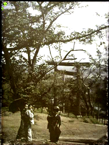 FOTOGRÁFICAMENTE: Placa autocroma ,mujeres fotógrafas