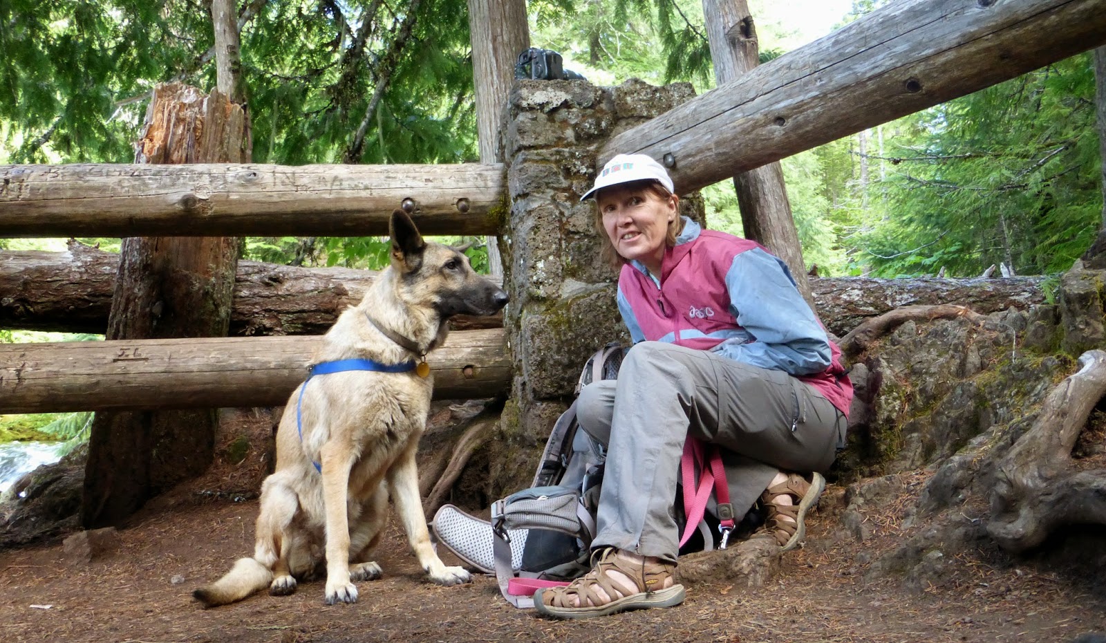 Dog Snot On My Windshield: Day 6: McKenzie River Trail to Yachats, OR