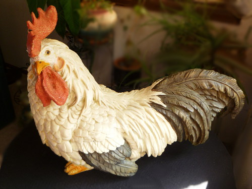 Cookistry: Whole Foods Friday: Chicken on the Grill