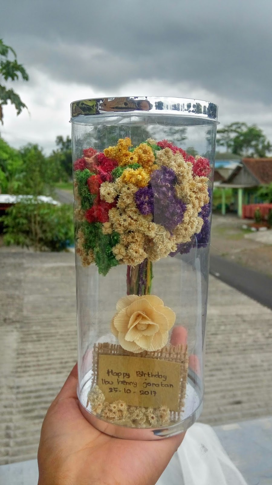 Kado Unik Bunga Edelweis Tabung Bunga Abadi - Bunga Edelweis Gift ...